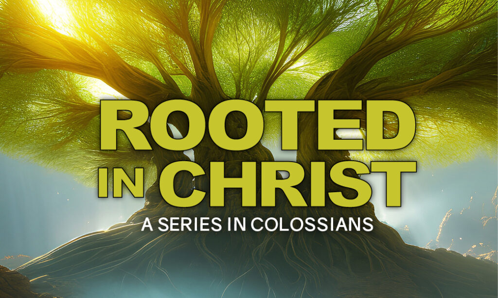 Rooted in Christ - Rowandale Baptist Church